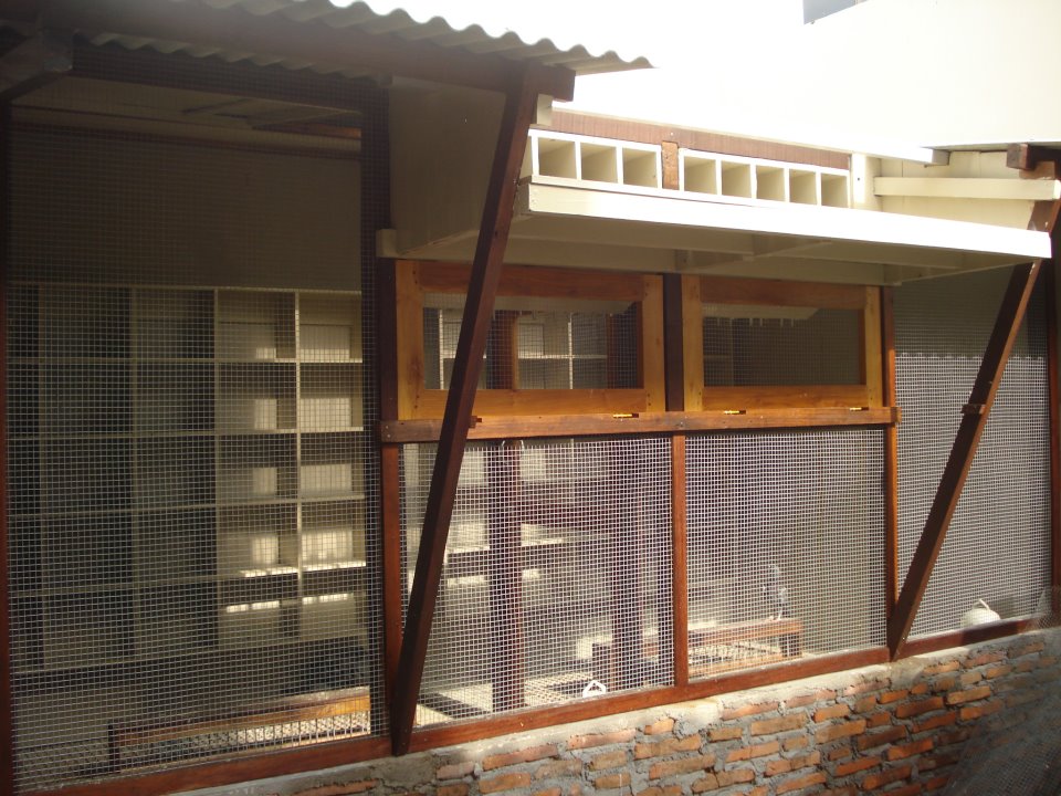 merpati: BERBAGAI BENTUK KANDANG MERPATI