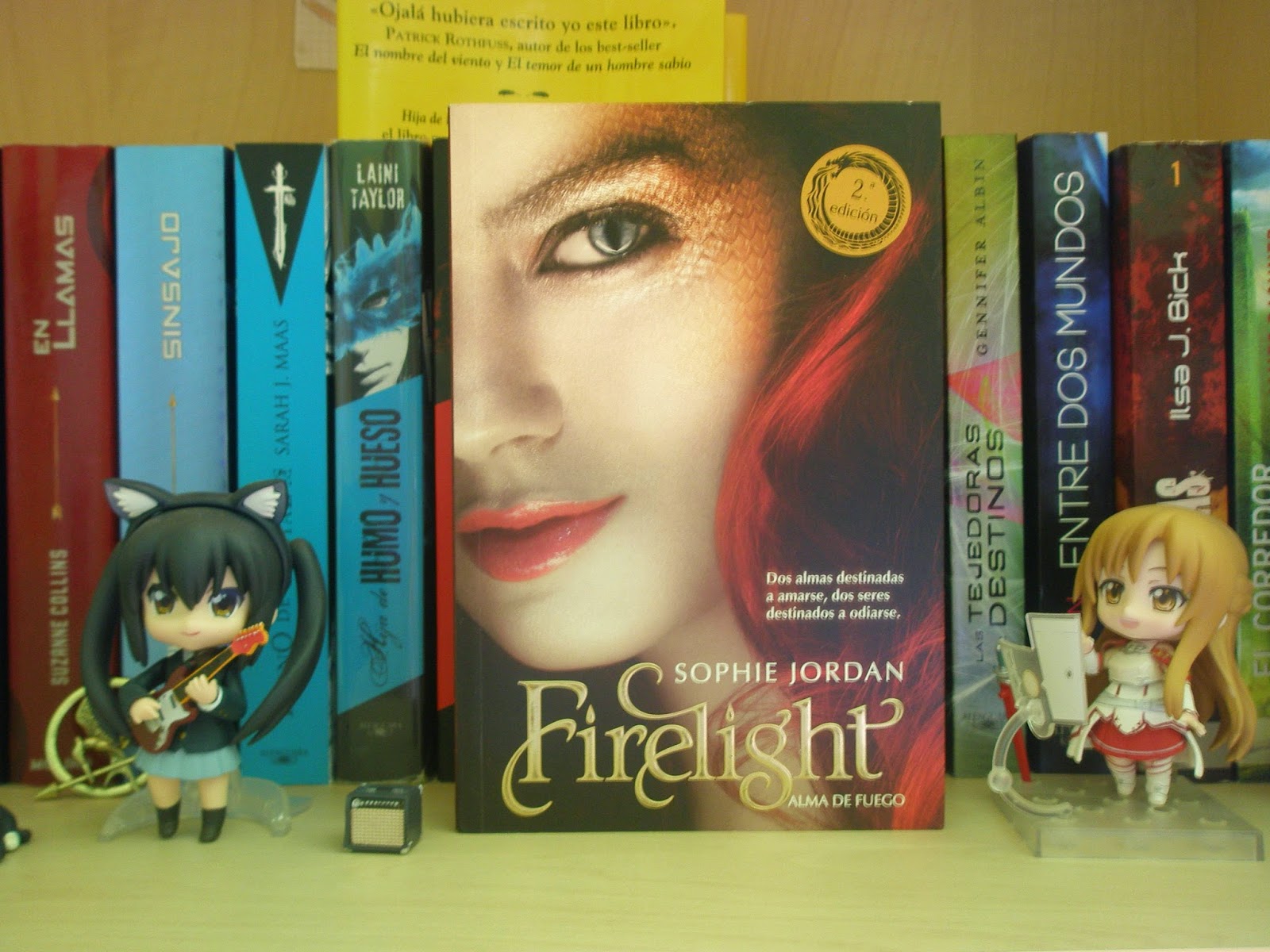 El rincón perdido: Reseña libro: Firelight