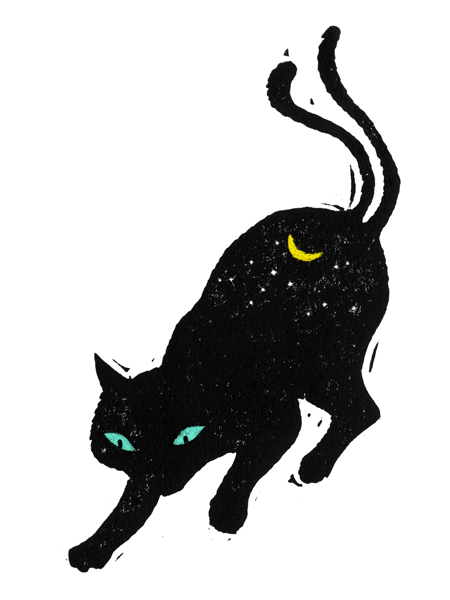 Taeeun Yoo Illustration Black Cat