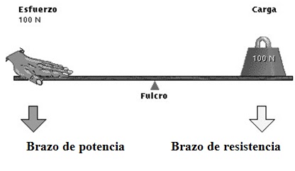 Análisis del movimiento: Torque y Palanca