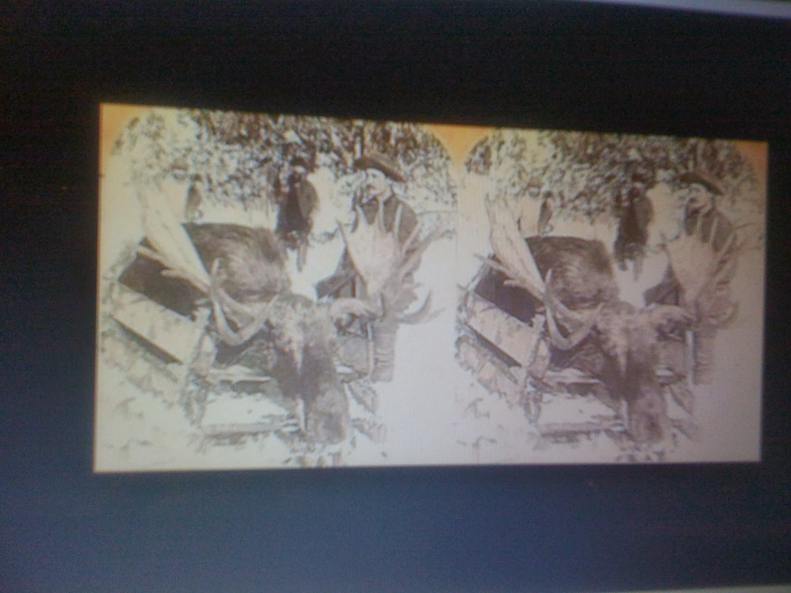 THE BLACK SOCIAL HISTORY:: BLACK SOCIAL HISTORY: AFRO-CANADIAN " JAMES ...