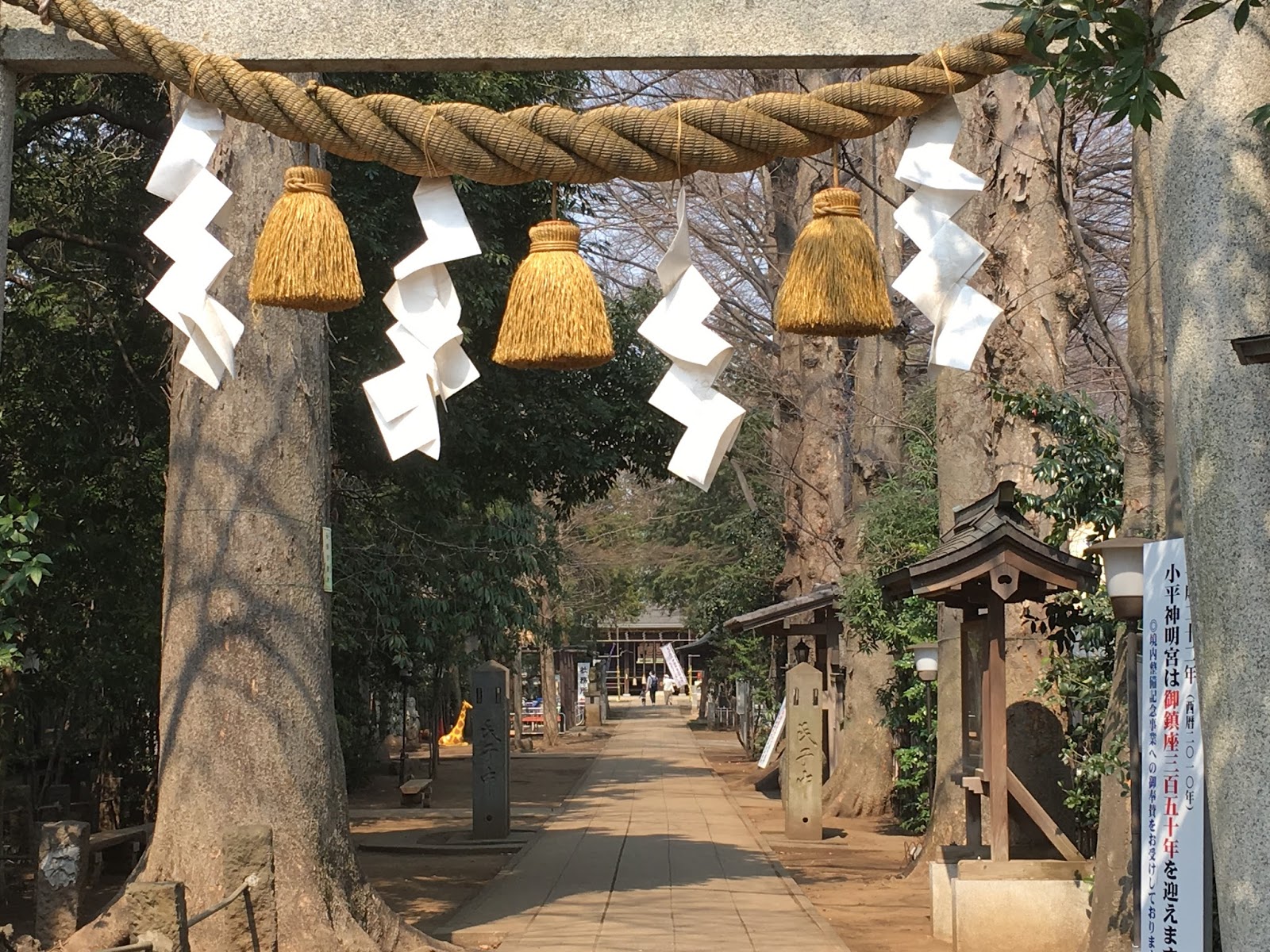 Purifying Paper and Sumo Spirit Magnets