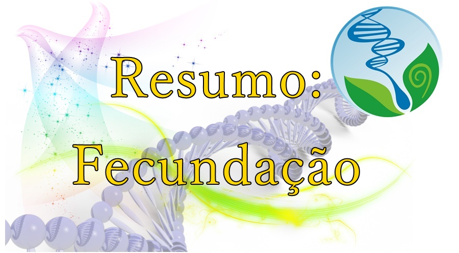Resumo: Fecundação | Sou de Biológicas