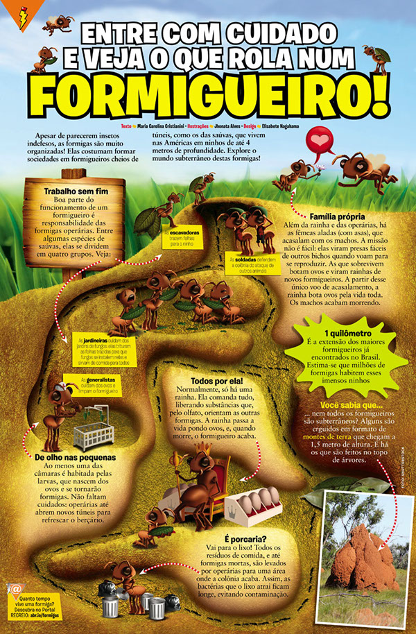 BIBOCA AMBIENTAL : TUDO SOBRE AS FORMIGAS