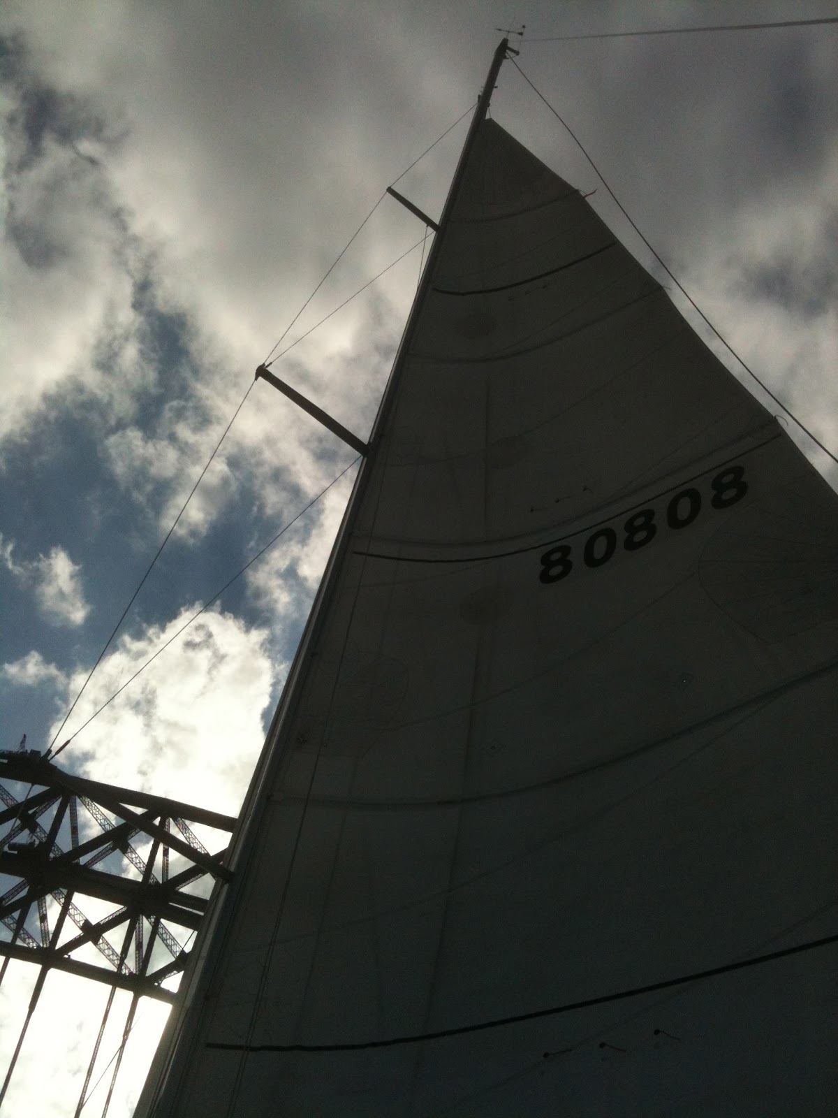 Swimming at Balmoral and Taylors Bay. Sailing under the bridge. Looking ...