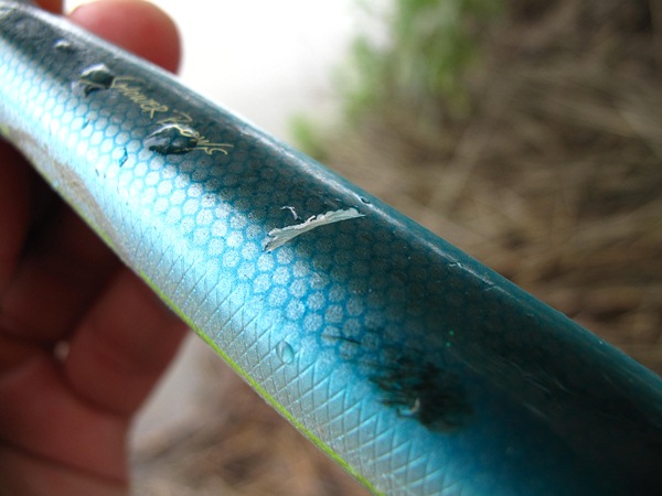 ANGLING WORLD 魔魚釣界: Monster Fish in China - Yellow Cheek!!