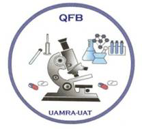 Comprensión Lectora 3º D