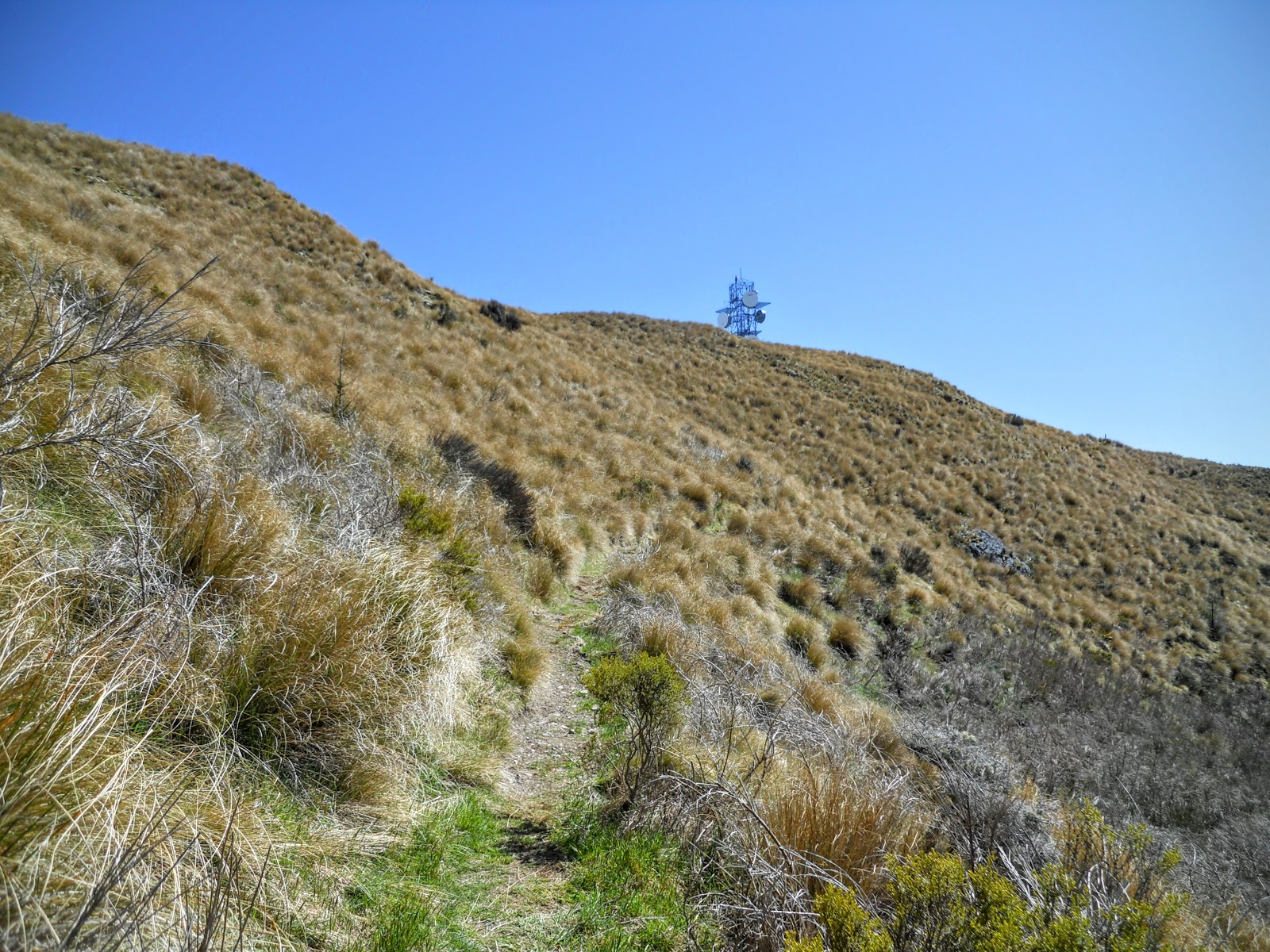 Tramping in the New Zealand backcountry: NZ Bush Adventures: Mt Grey ...