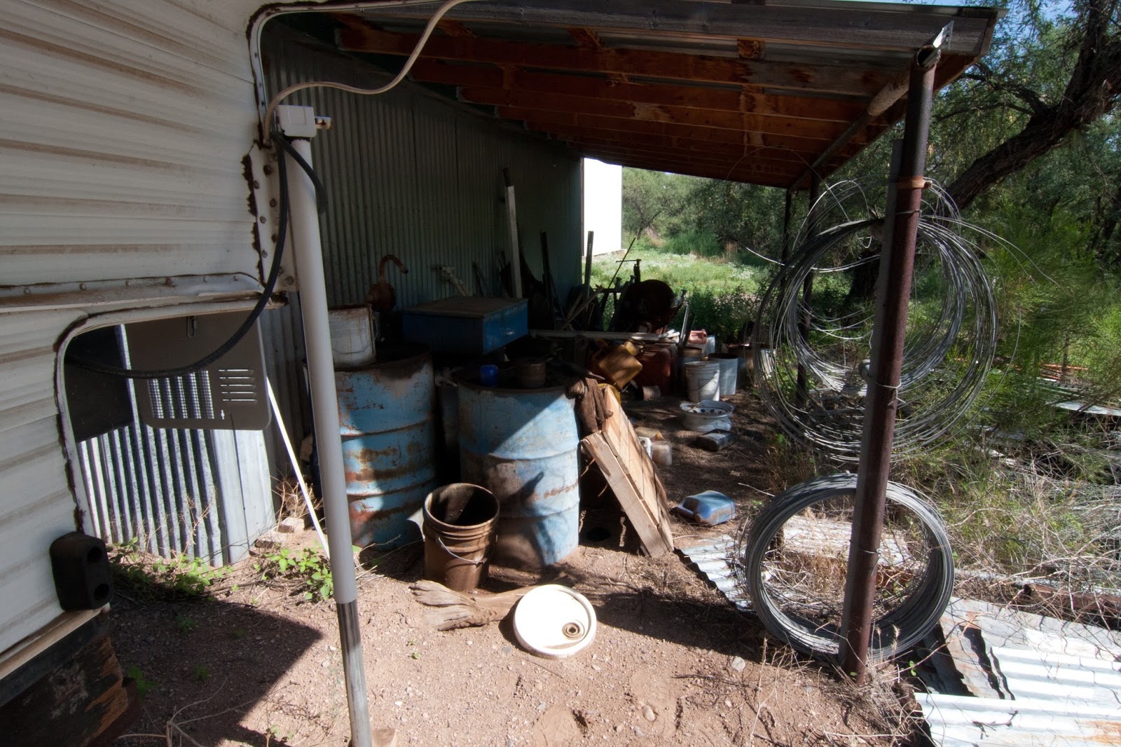 Salamander-Shmalamander: Arizona Black Rattlesnakes at Muleshoe Ranch