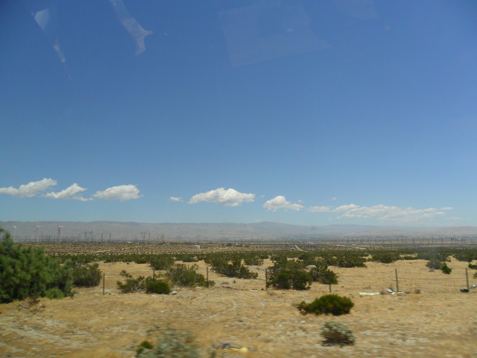 Wildlife in Southern California: Ecosystems