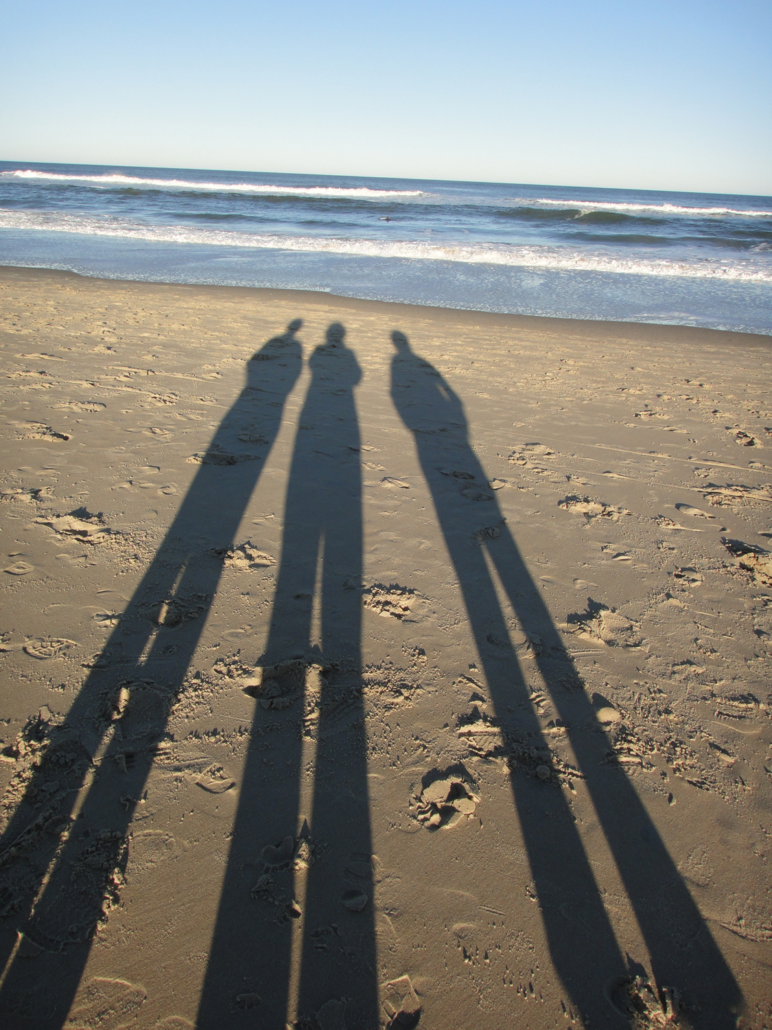 Japanese Temari: Outer Banks Color Palette