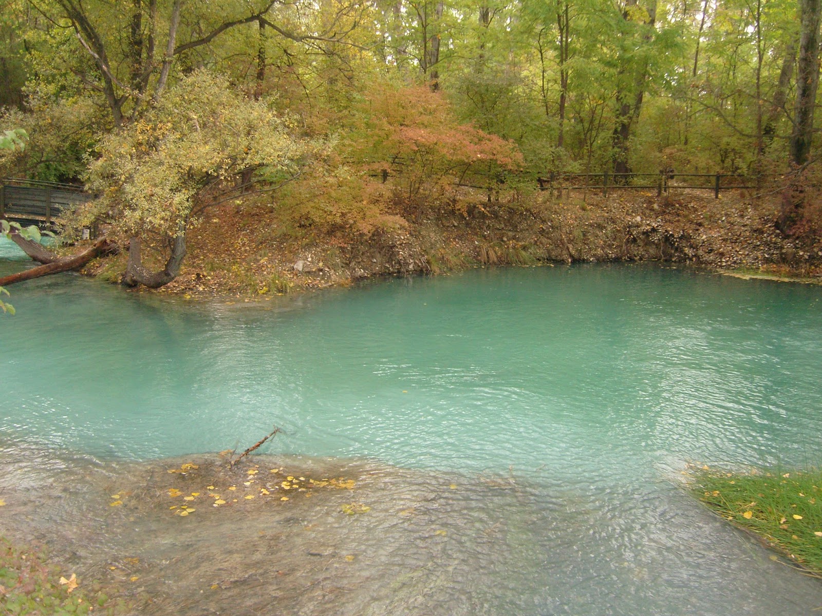 Weather and Nature: Le acque turchesi delle sorgenti sulfuree del Lavino
