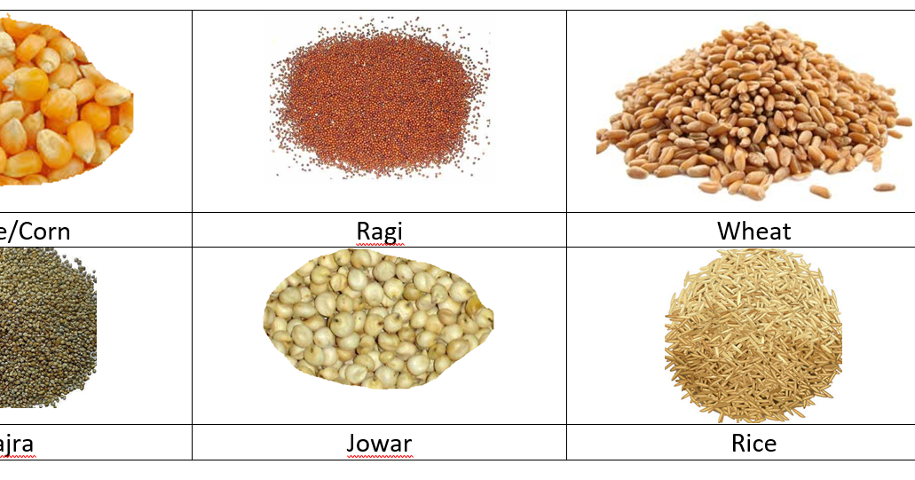 Class-5 EVS, Chapter-19, A Seed Tells a Farmer's Story, Additional ...