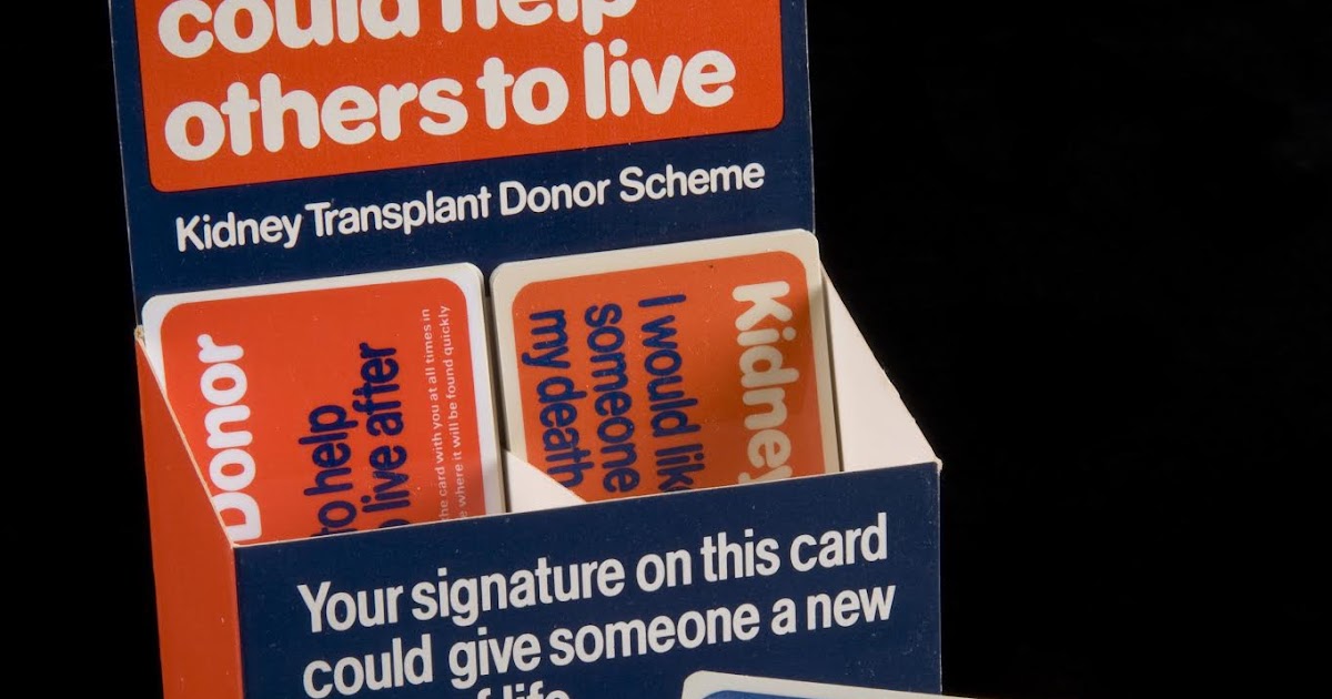 Η Χριστιανική Ηθική και η Βιοηθική στην Εκπαίδευση: Έτσι θα απογειωθούν ...