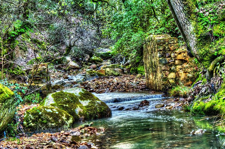 Dream: Tabarka a manific destination