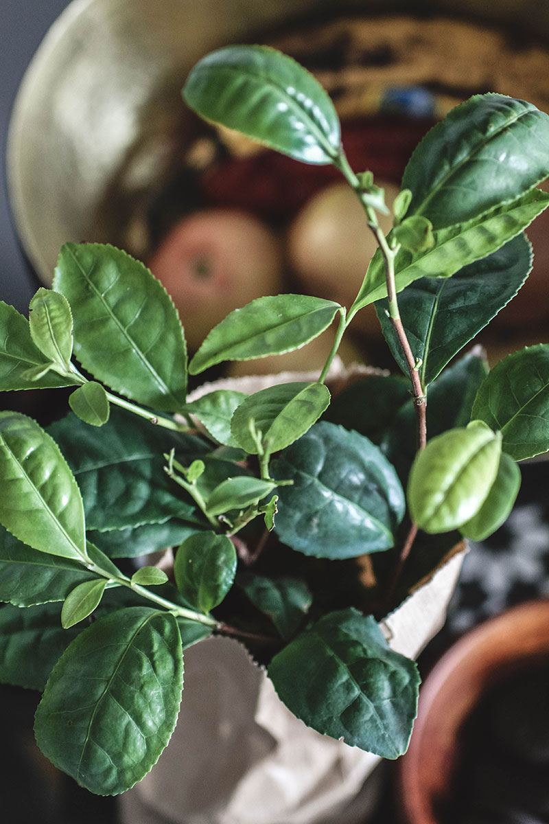 40+ blogit | souliina.blogspot.fi