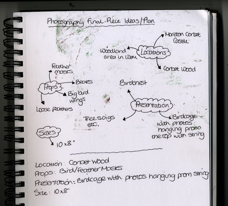 A2 Photography Exam - Sophie Gillott: Final Piece Plan
