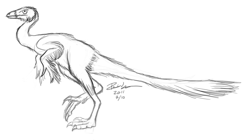 The CAW box: Troodon sketch