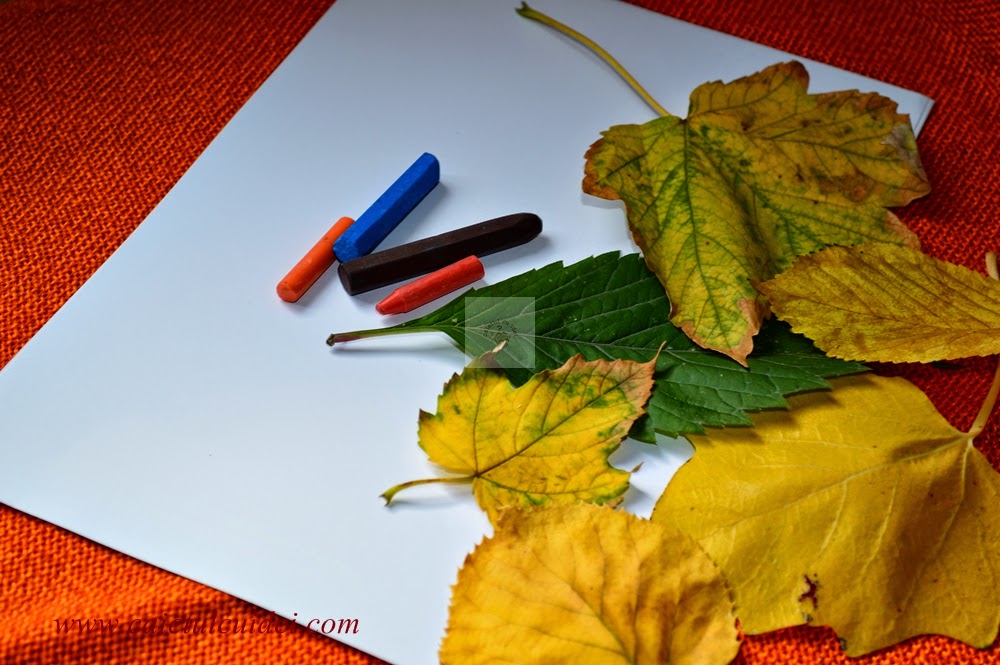 Activitati practice cu frunze: desenam prin hasurare - CAIETUL CU IDEI