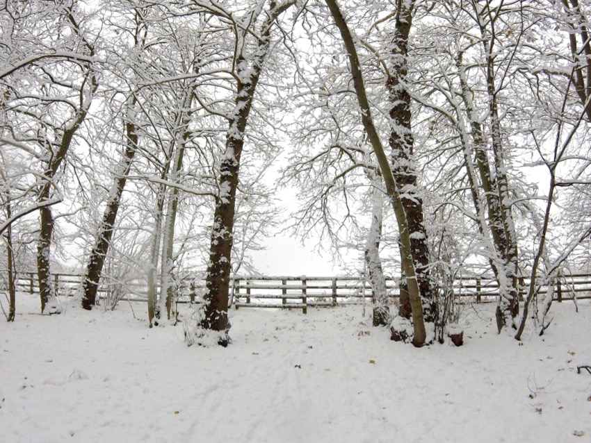 Sparkly Snow and a Warm Cozy Glow
