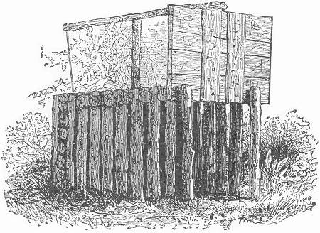 Drawing : Trapping and Framing