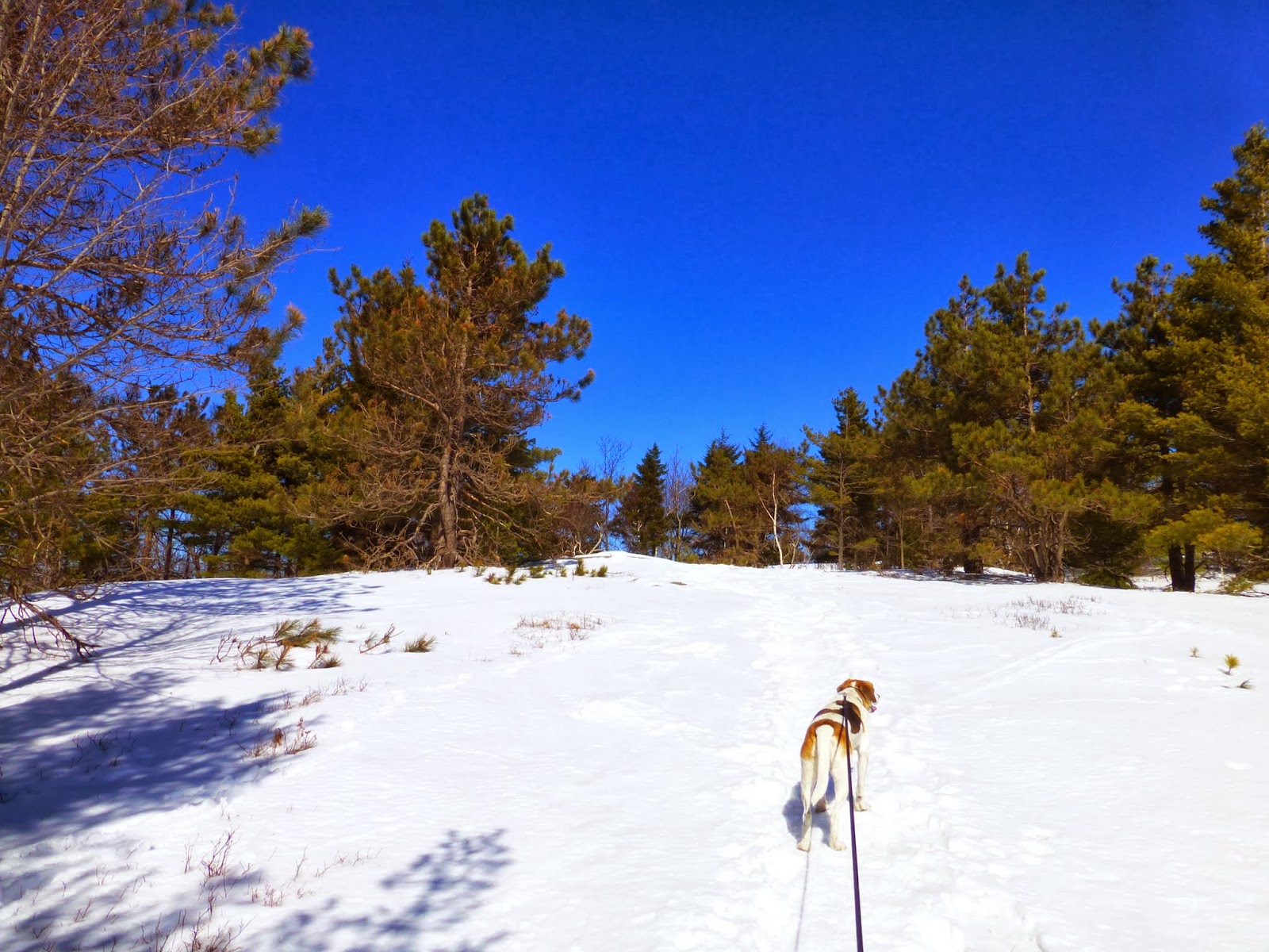 Off on Adventure: Buck Mountain - Lake George Wild Forest - 3/9/14