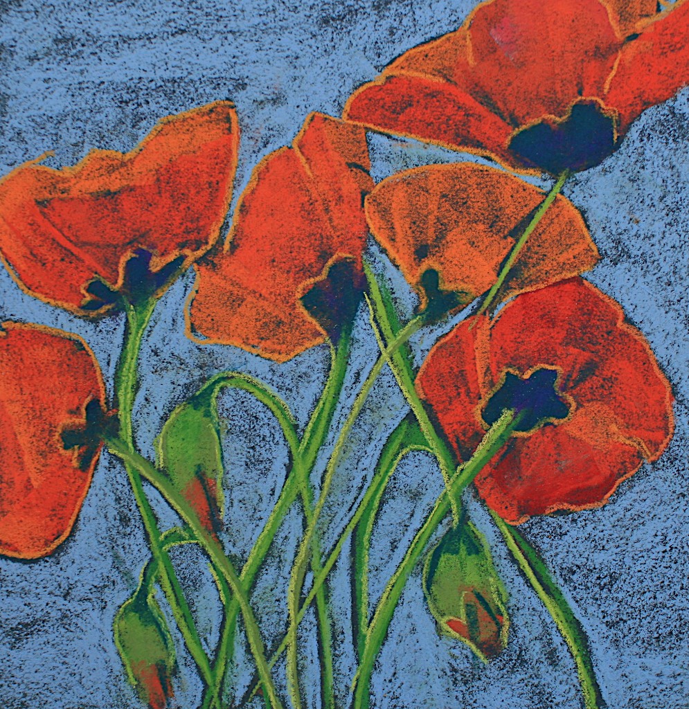 Mary Anne Cary Paintings: Pastel Poppies