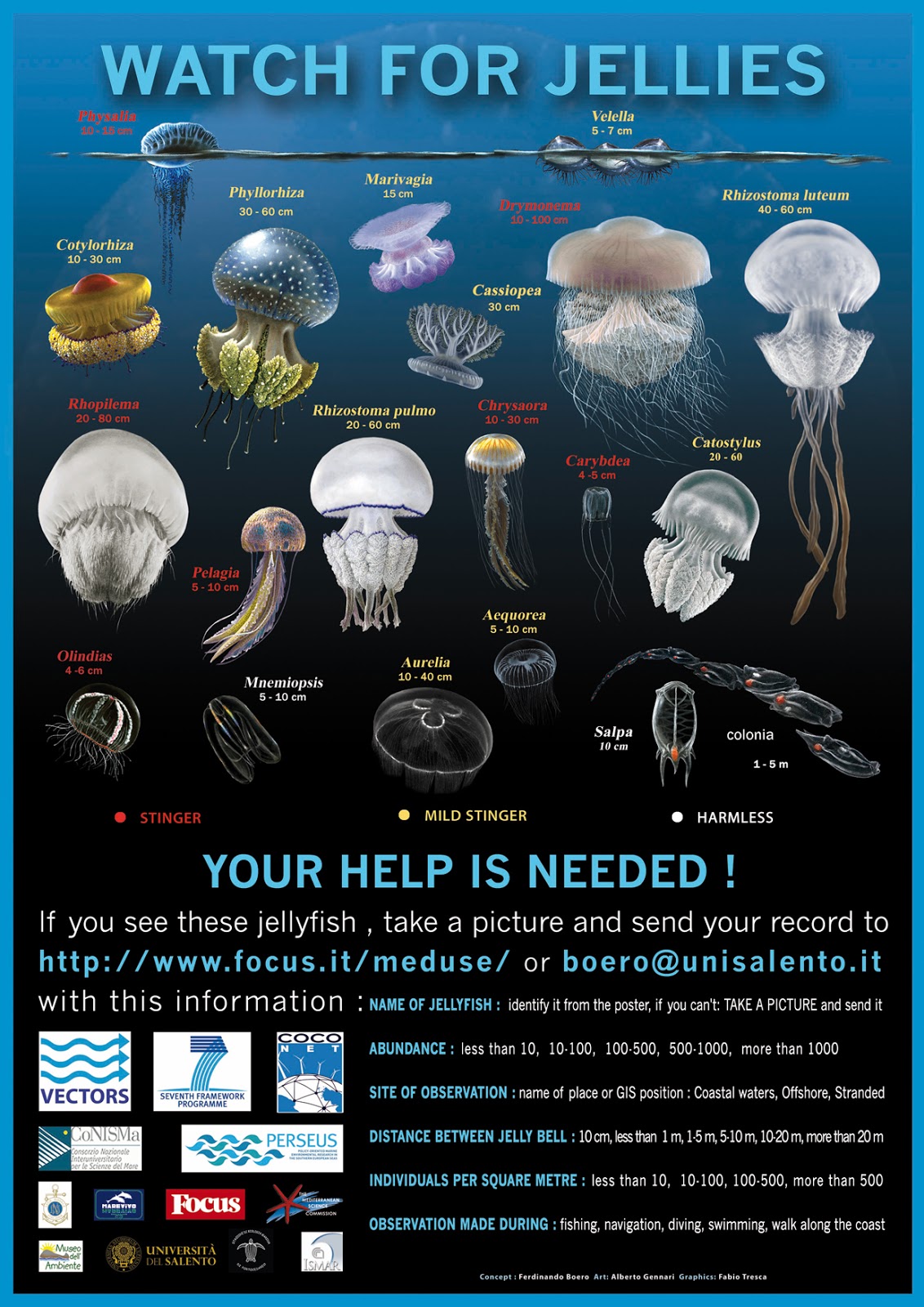 The art of Alberto Gennari: Jellyfish posters