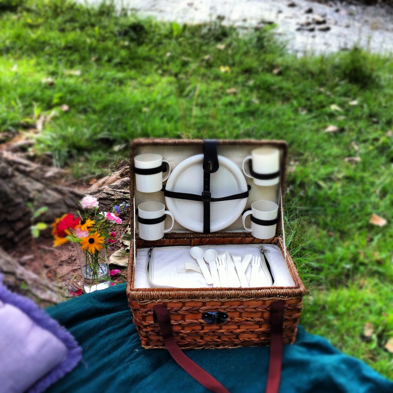 The Brighter Writer: The Perfect Picnic