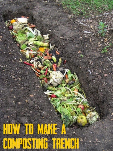 What is Trench Composting #Organic_Gardening - Organic Gardening