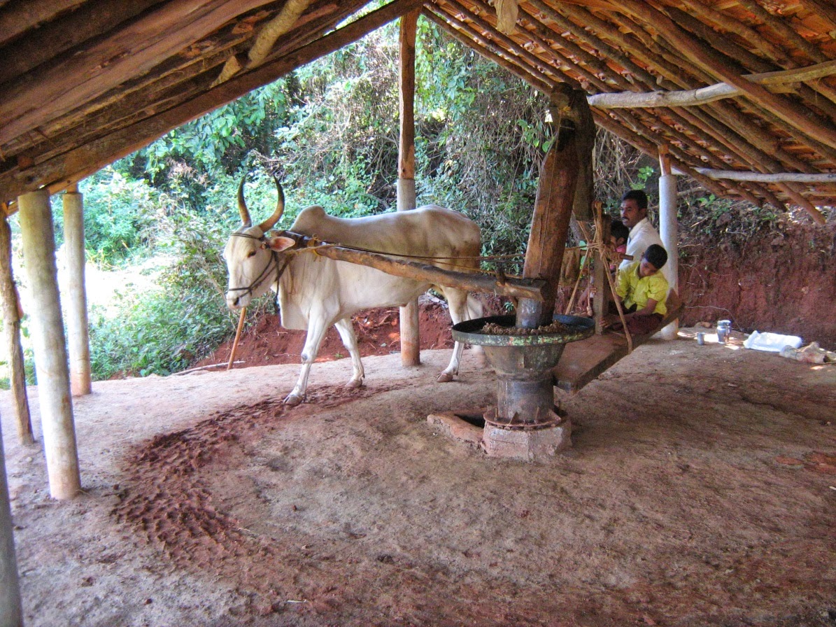 gappa: A Traditional and Natural Me :-)