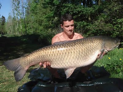 Ilmu & Pelajaran: Ikan Grass Carp