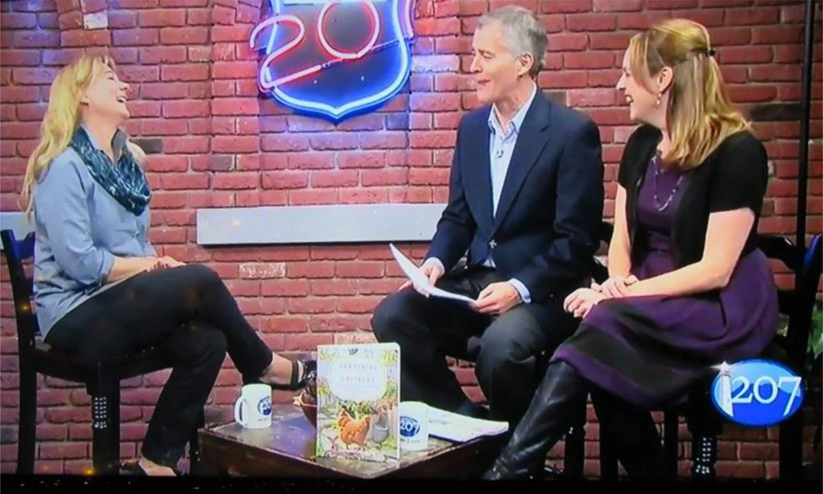 Television Appearances - Fresh Eggs Daily® with Lisa Steele