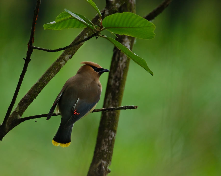 Bradley G. Esau's Photos