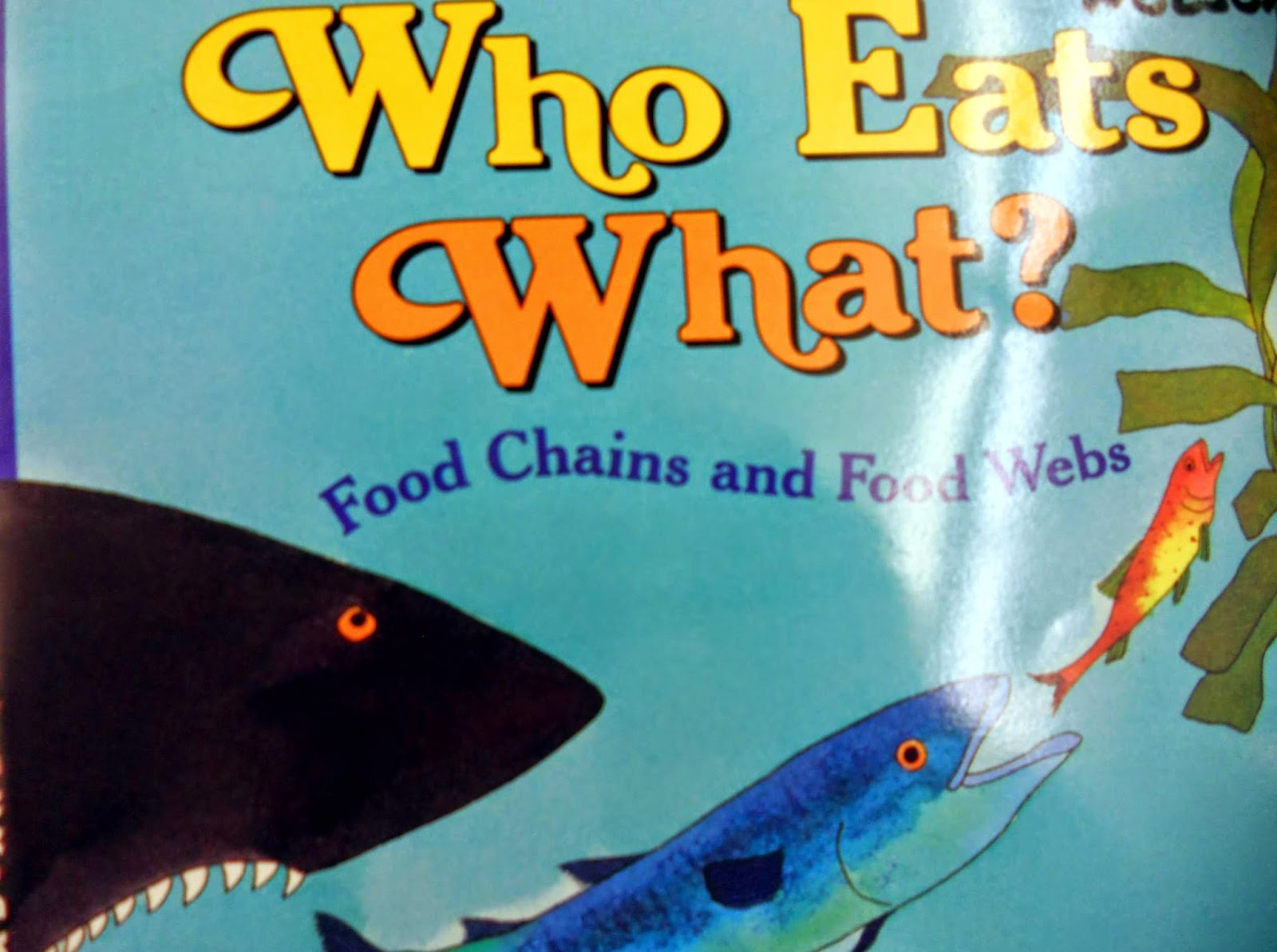 JNelson's First Grade Blog: Oceans of Fun!