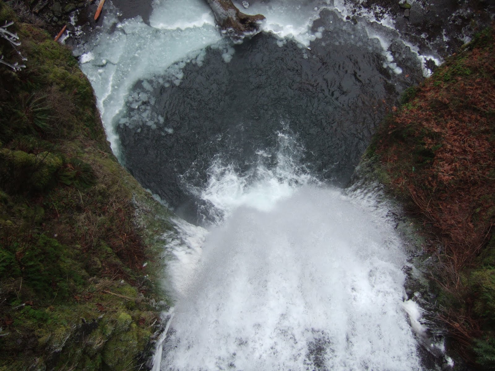 Reading the Washington Landscape: Icy Multnomah Falls