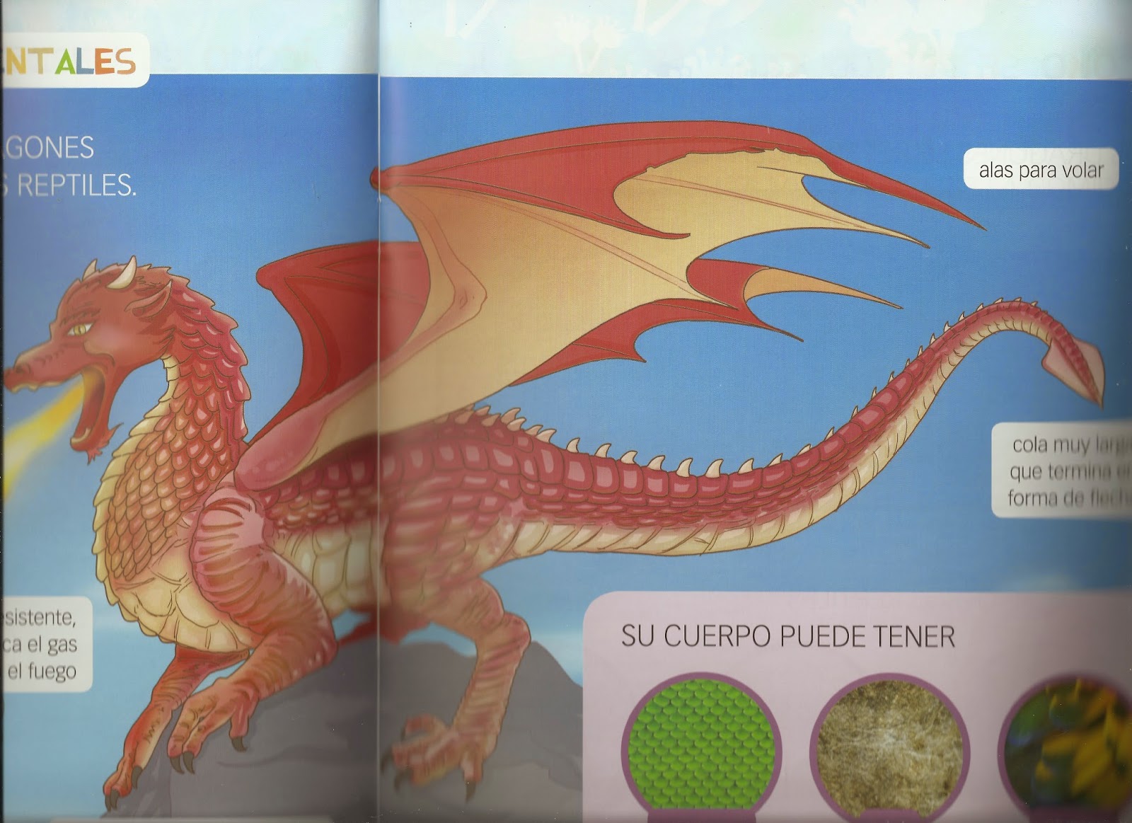 LOS PEQUES DE 4 AÑOS EN DRAGOLANDIA: LOS DRAGONES OCCIDENTALES: DRAGÓN ...