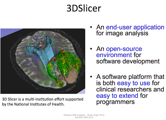 Visualization tool: 3D Slicer | Diffusion Imaging; Introduction ...