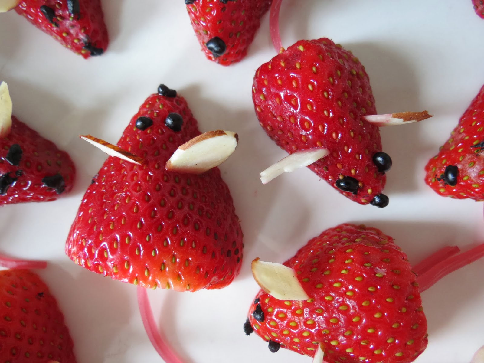 Capital Living: The children's animal party