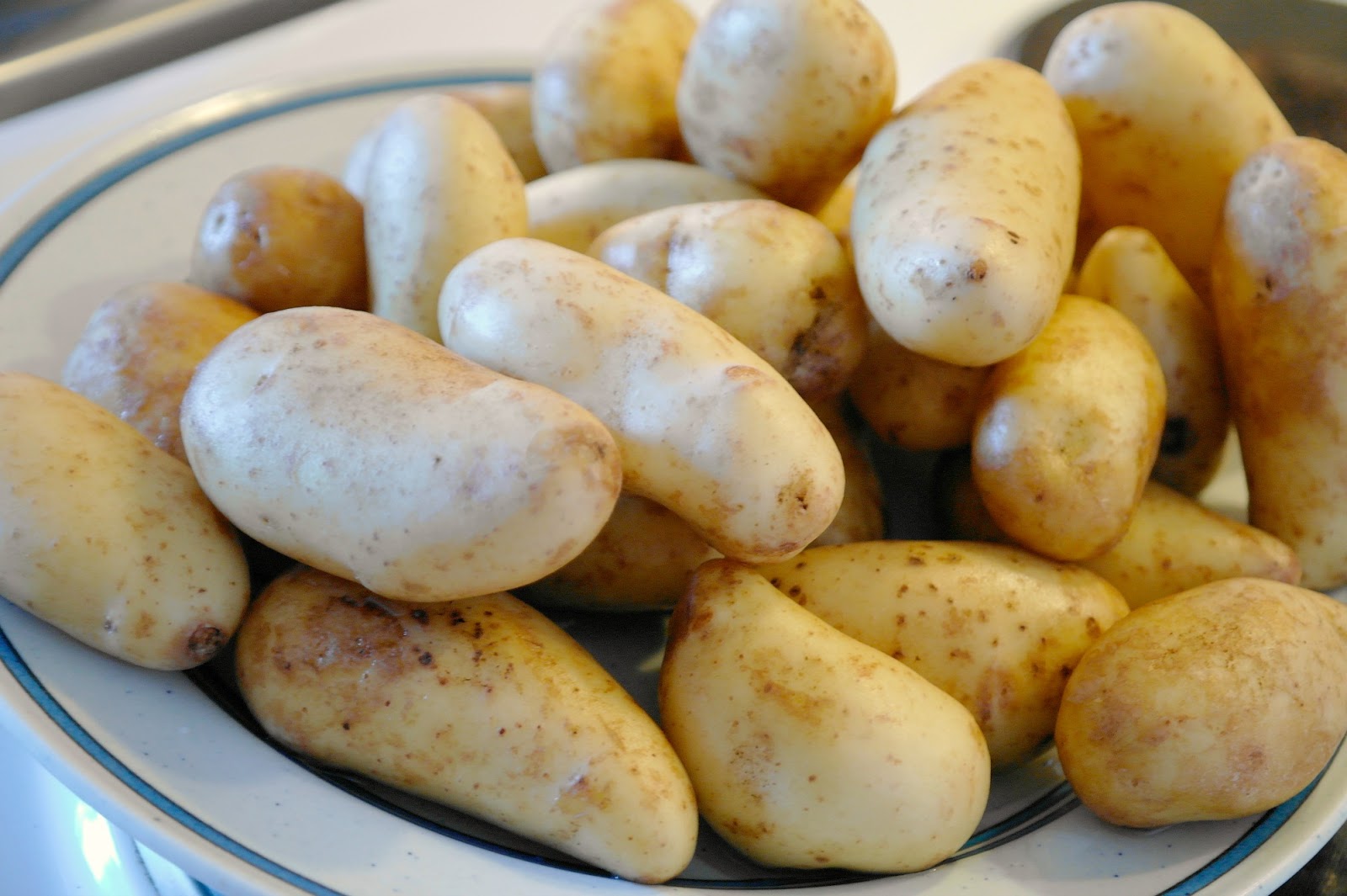 MÅRTENSSONS KÖK: Att ha surströmmingspremiär.