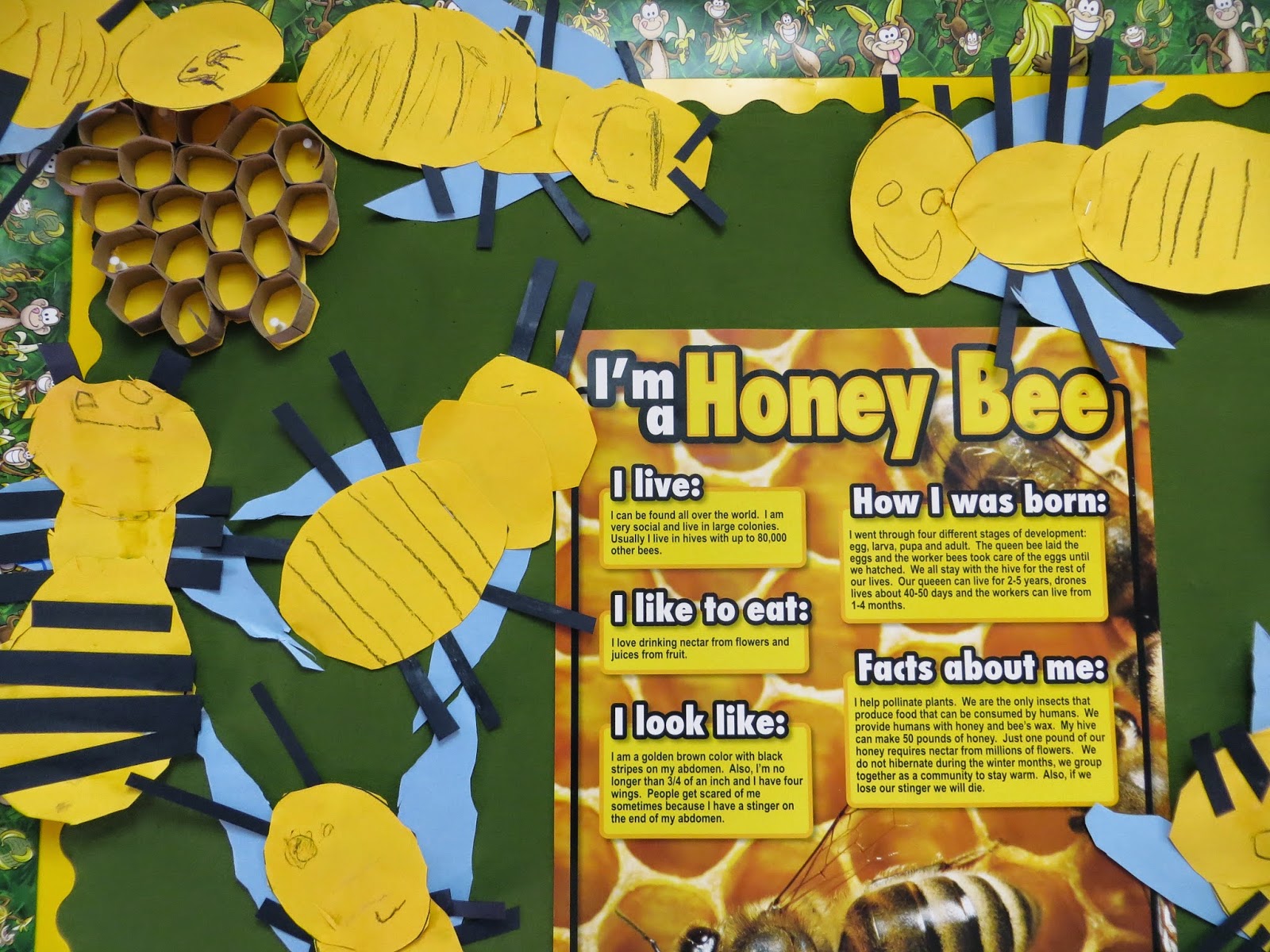Preschool For Rookies: Insects- All about Honey Bees