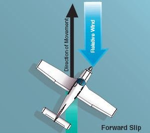 The Shekel - Coins, Law, and Commentary: Flying Lesson #51 - Slip ...