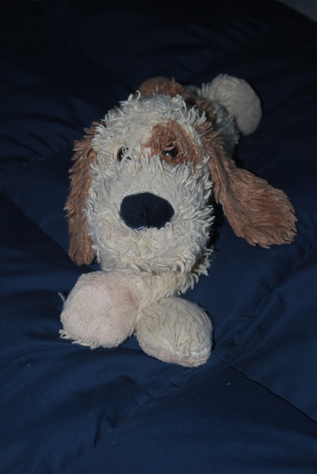 Being Loopy: Stuffed Animal Names