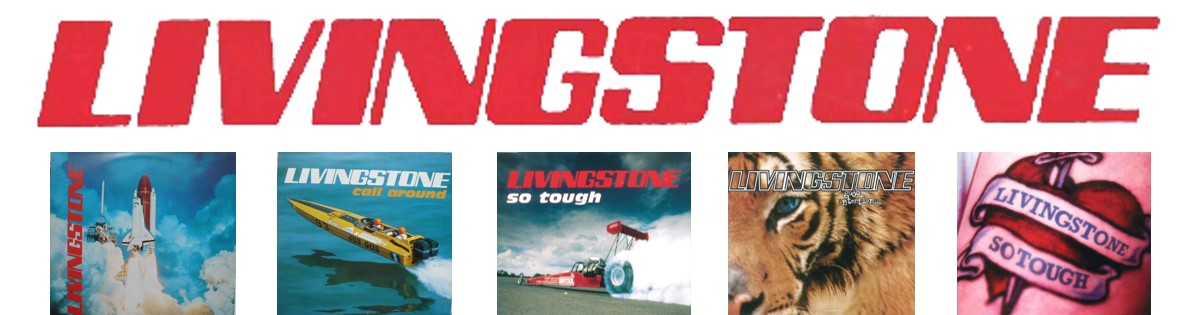 Livingstone - The 90's Indie Band: Livingstone - Lyrics and guitar tab