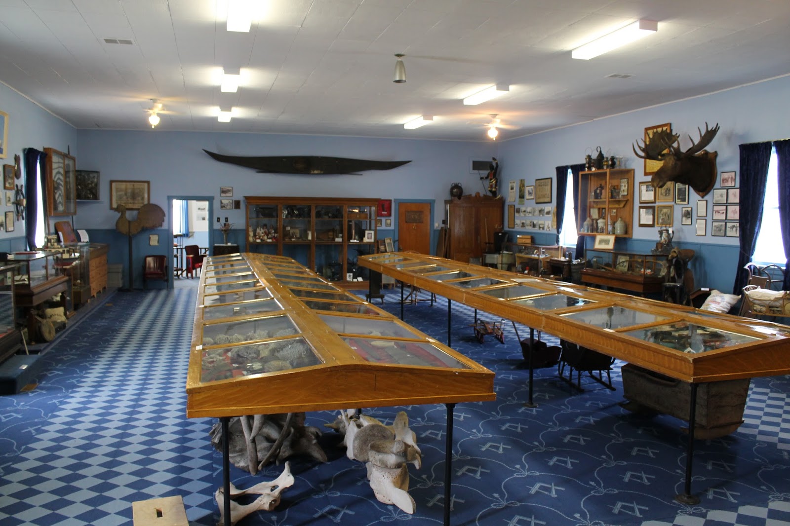 Explore Miramichi With Me: Things to Do: Miramichi Natural History Museum