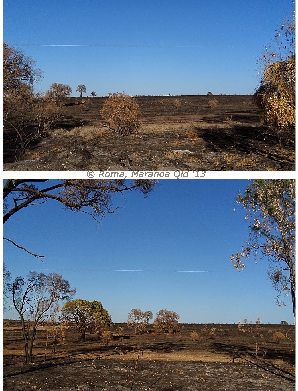 An Igorot Journey: When in Roma