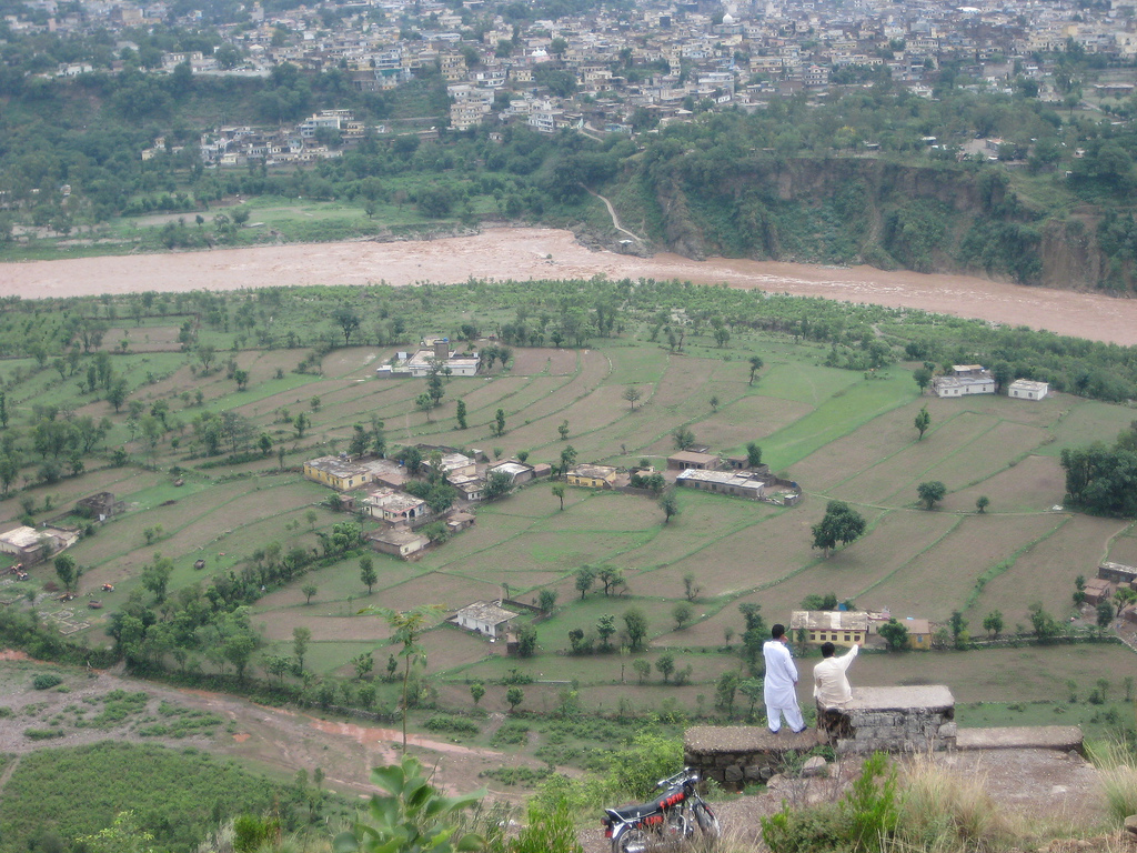 Kotli