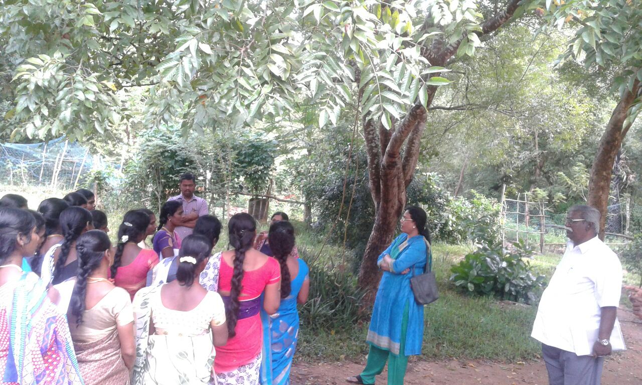 Sustainable Livelihood Institute: "Managing Director of TNSRLM" Visited ...