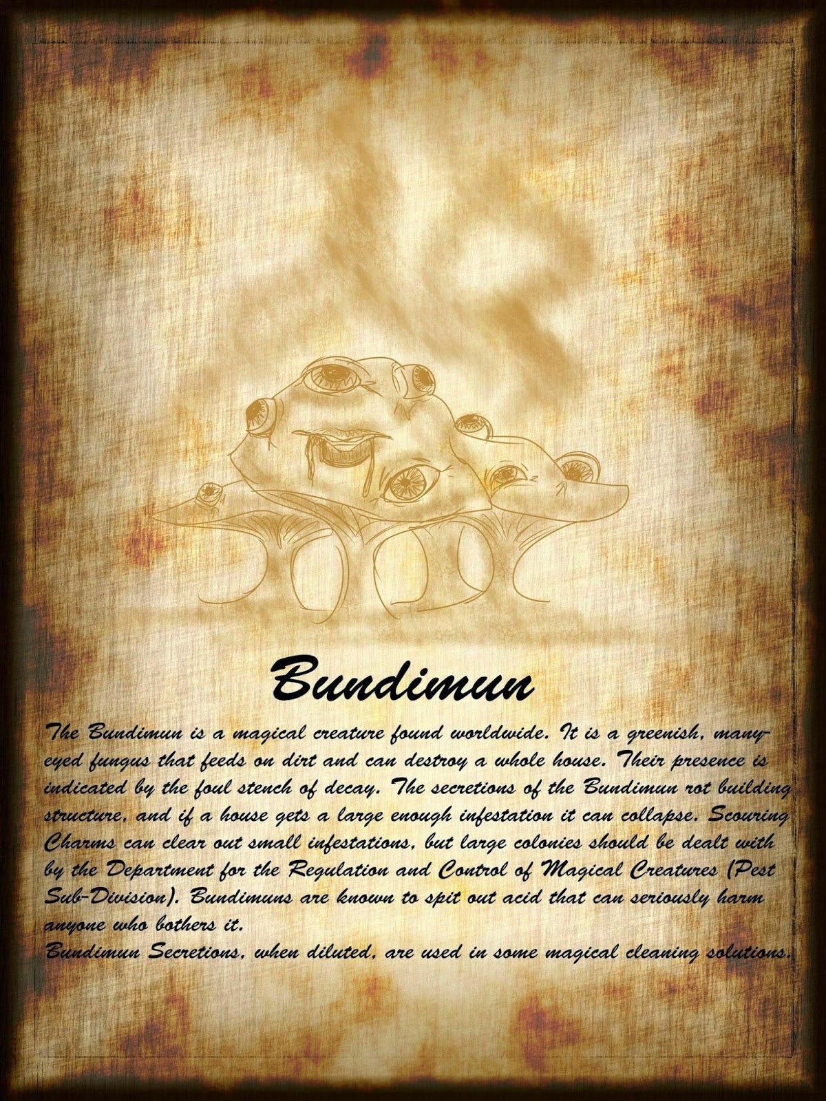 BUNDIMUN | Animais Fantásticos & onde Habitam