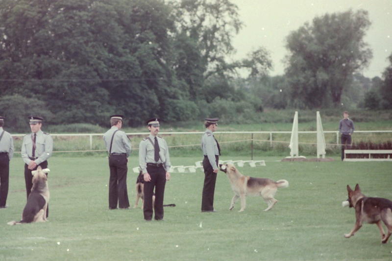UK Police Dog history: Notts Police Dog display